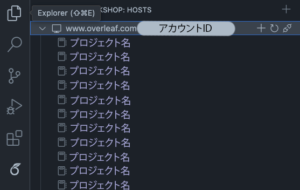 Overleaf を VS Code で使う方法 | どうも、たなぱんだです。